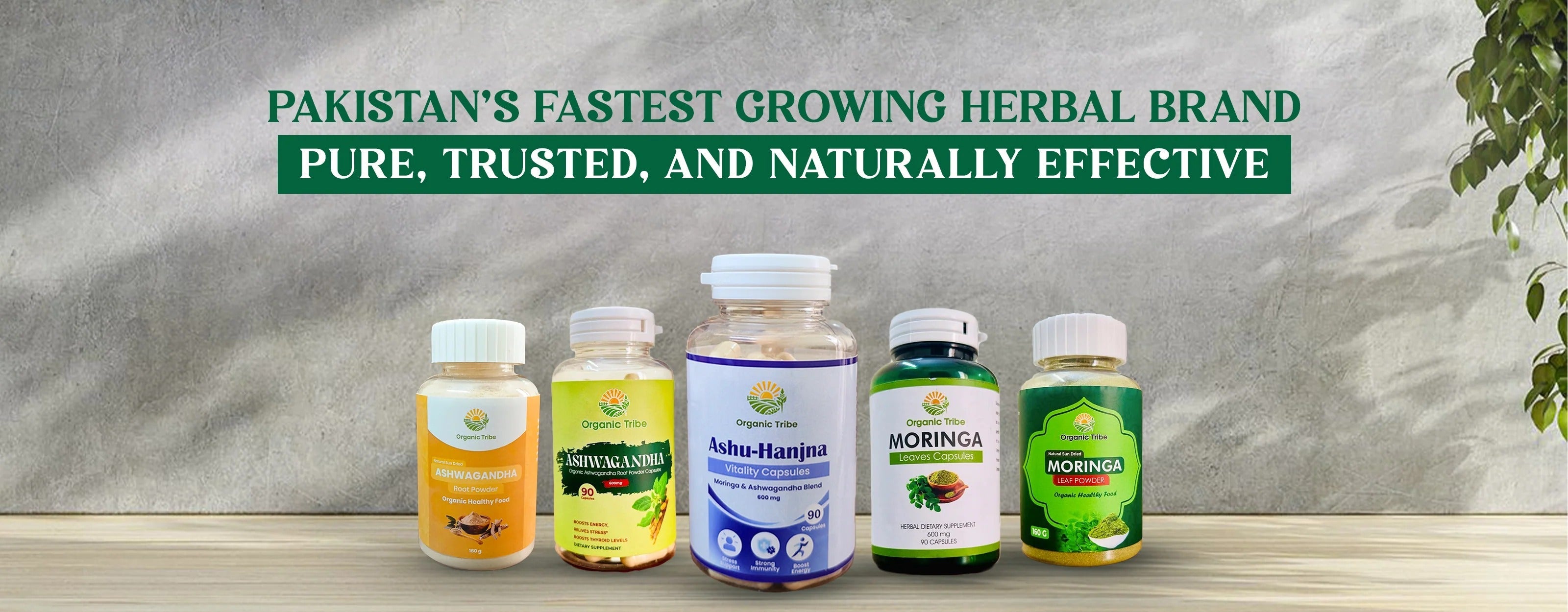 Buy Herbal Supplements Products Online Store In Pakistan – Organic Tribe